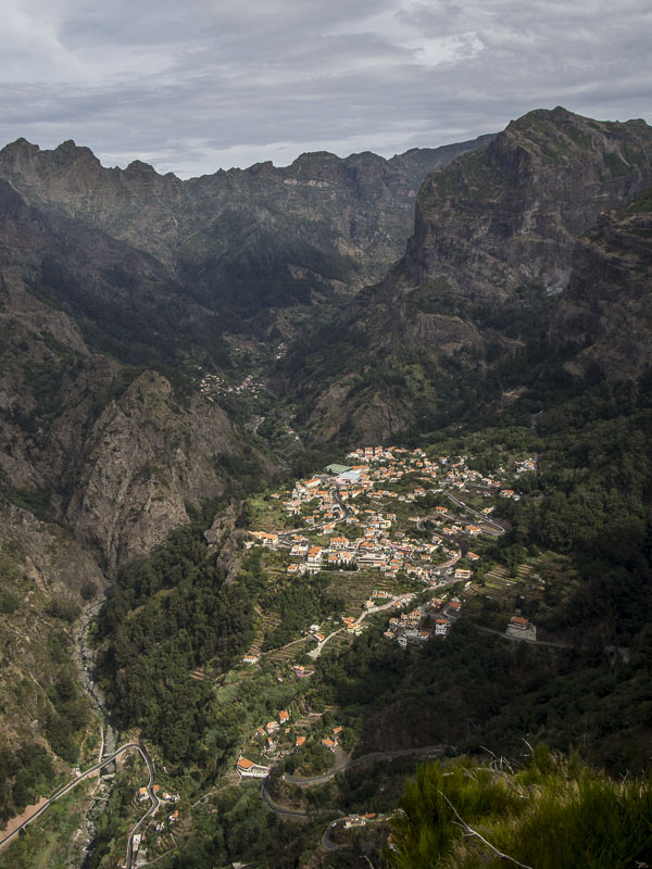 The Nuns’ Path | Peter Bargh